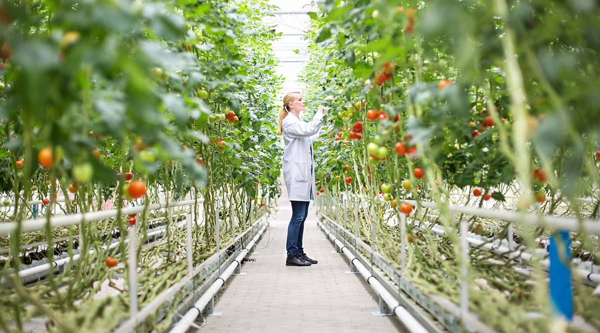 Food Science And Technology Research Gets A Long Awaited Boost food-science-and-technology-research-gets-a-long-awaited-boost